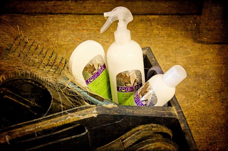 Building A Complete Horse Grooming Kit - Equi-Spa